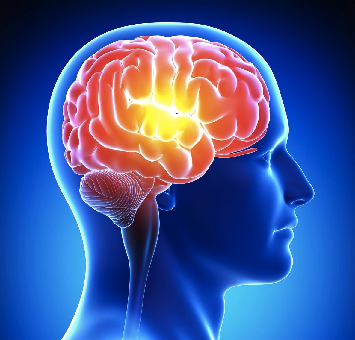 Smith-Kettlewell Brain Imaging Center | Smith-Kettlewell Eye Research