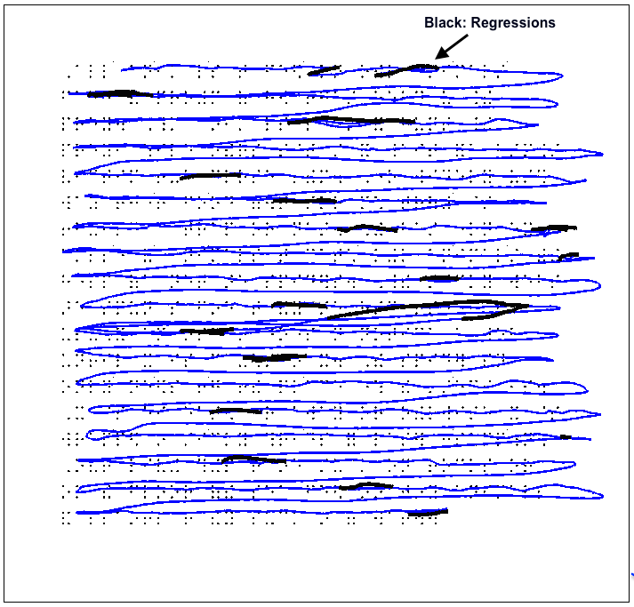 Regressions in Braille Reading | Smith-Kettlewell Eye Research