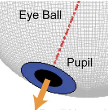 Challenges in Head-Free Eye Tracking in Health & Disease | Smith ...