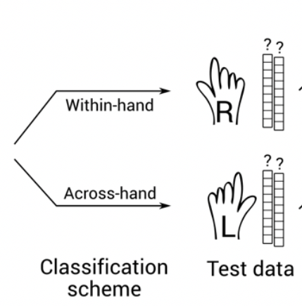The transformation of sensory to perceptual braille letter ...