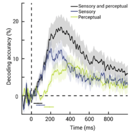 The transformation of sensory to perceptual braille letter ...