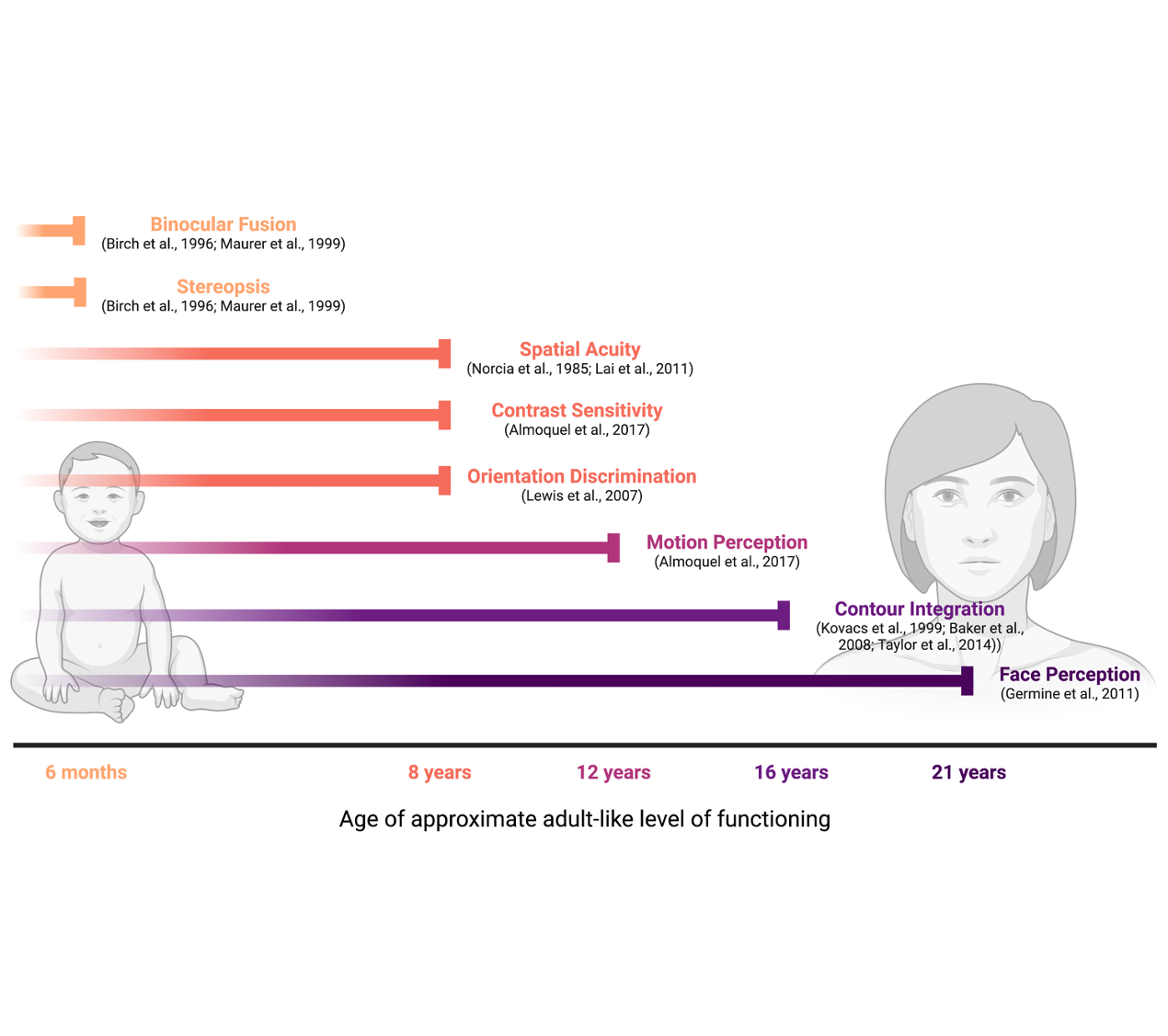 The impact of early exposure to general anesthesia on visual and ...