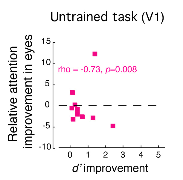 Perceptual learning with dichoptic attention tasks improves attentional ...
